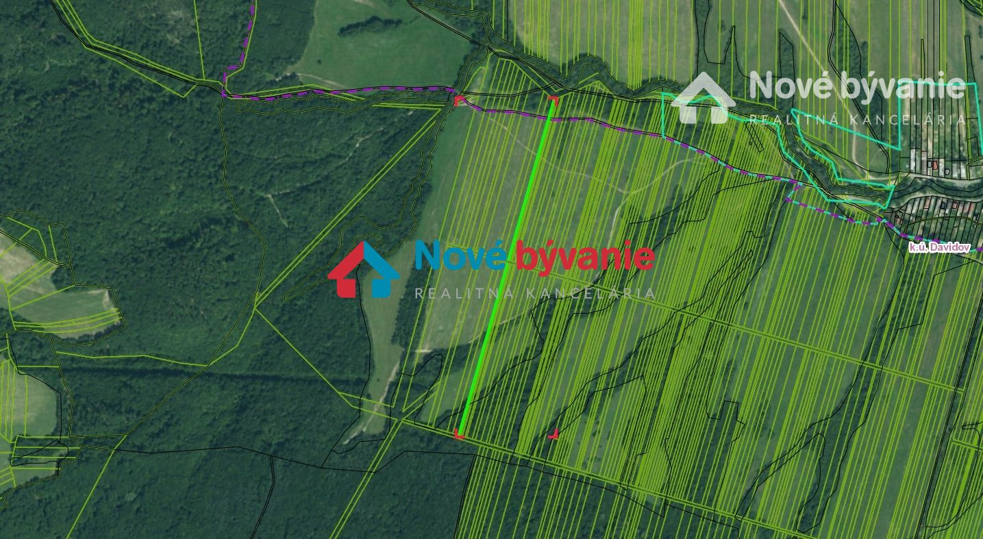 Davidov - na predaj orná pôda | Nové bývanie – realitná kancelária, s.r.o.